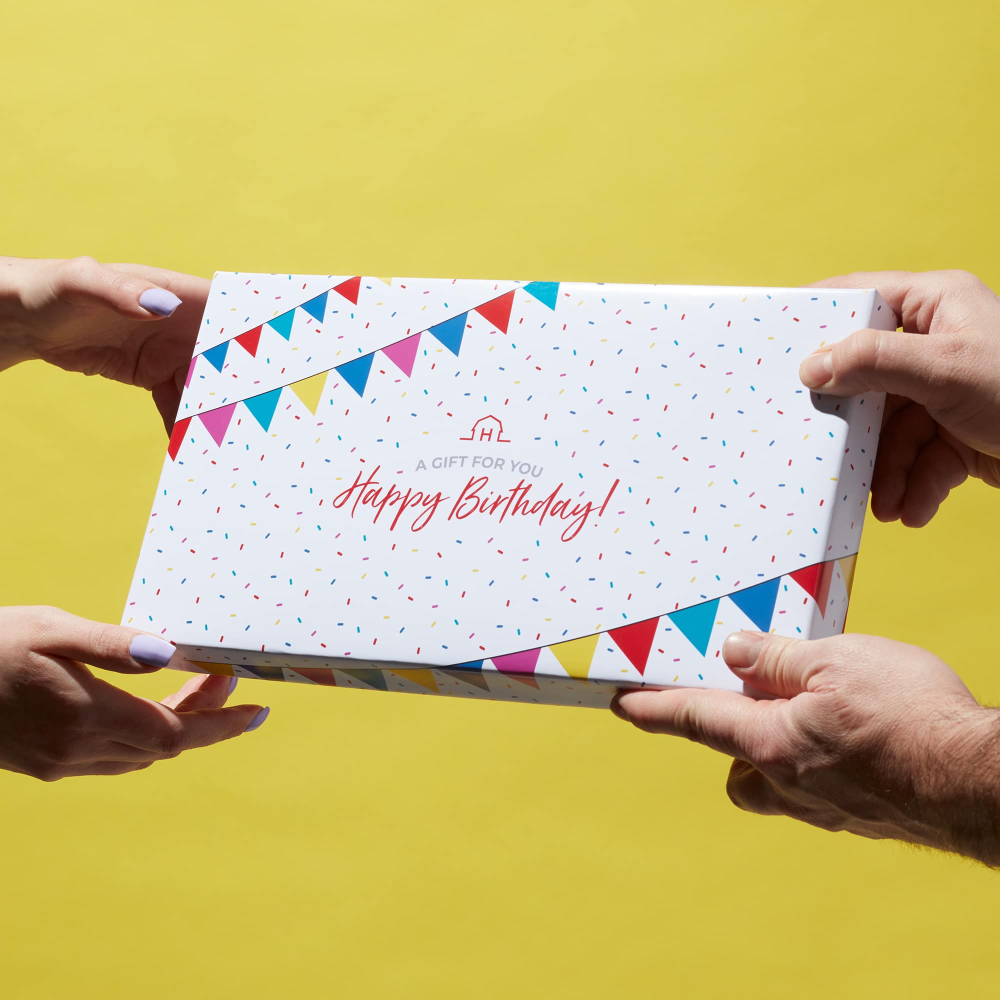 Birthday Summer Sausage & Cheese Gift Box | Hickory Farms